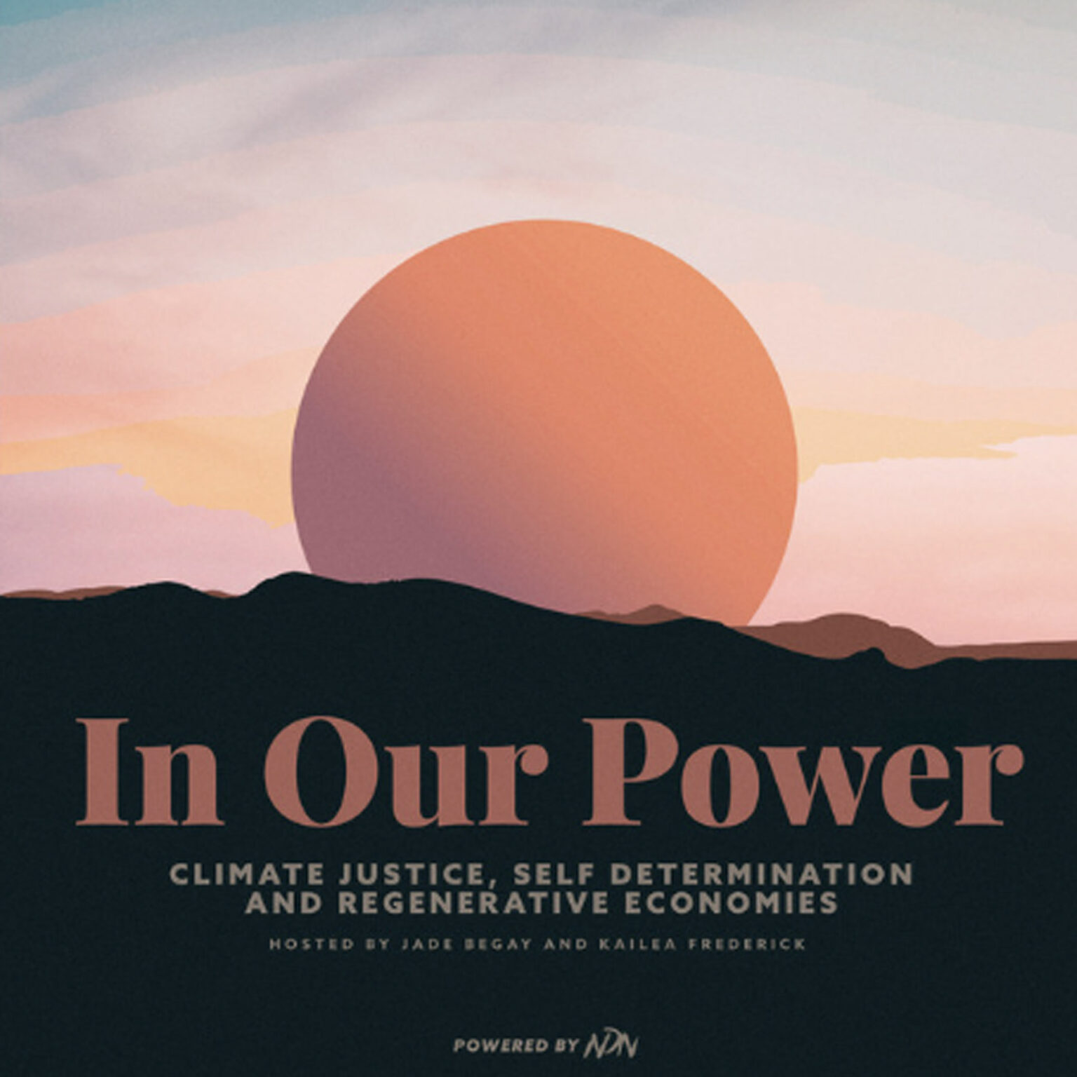 IN OUR POWER - NDN COLLECTIVE